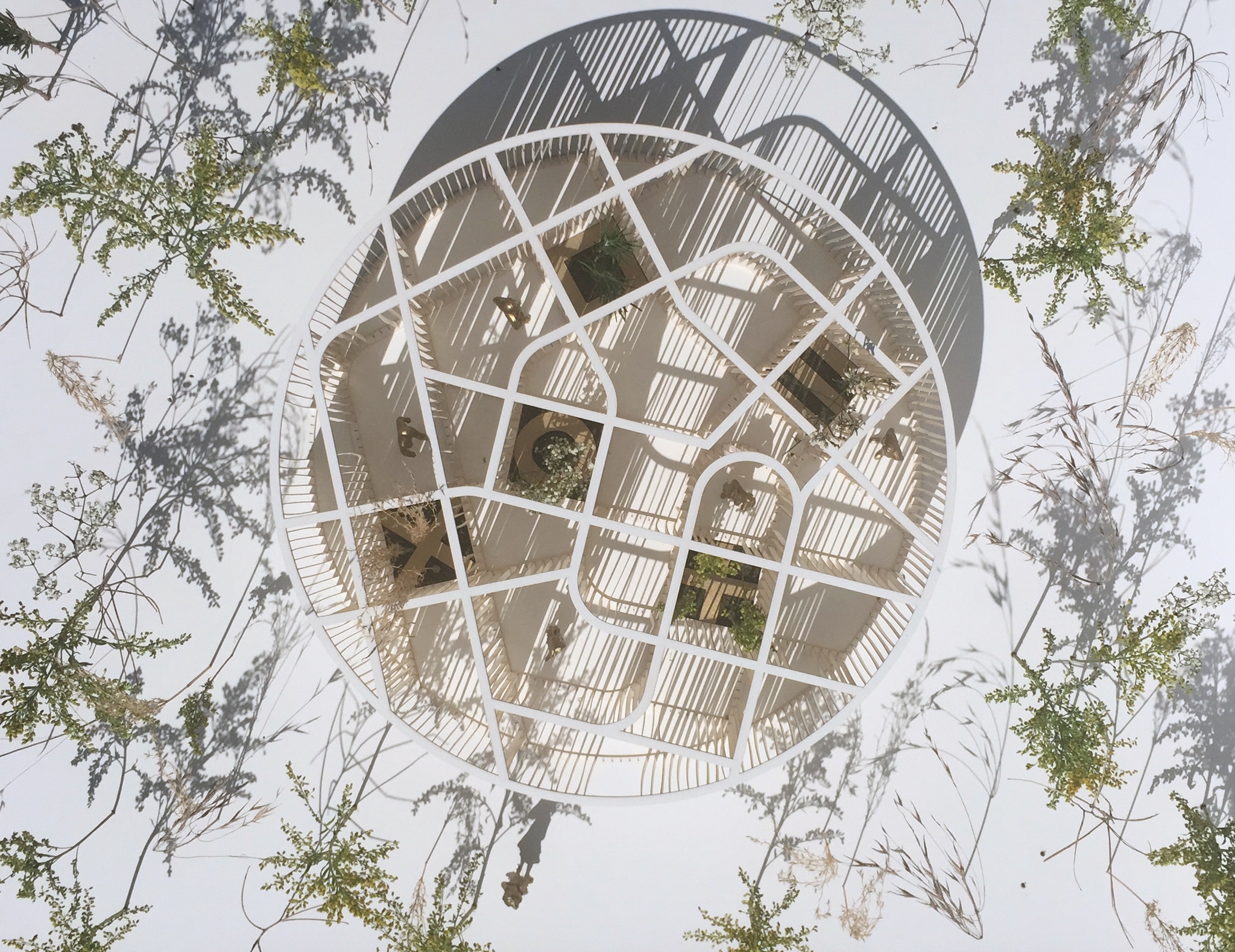 Neeraj Bhatia: Territory and Form - Columbia GSAPP