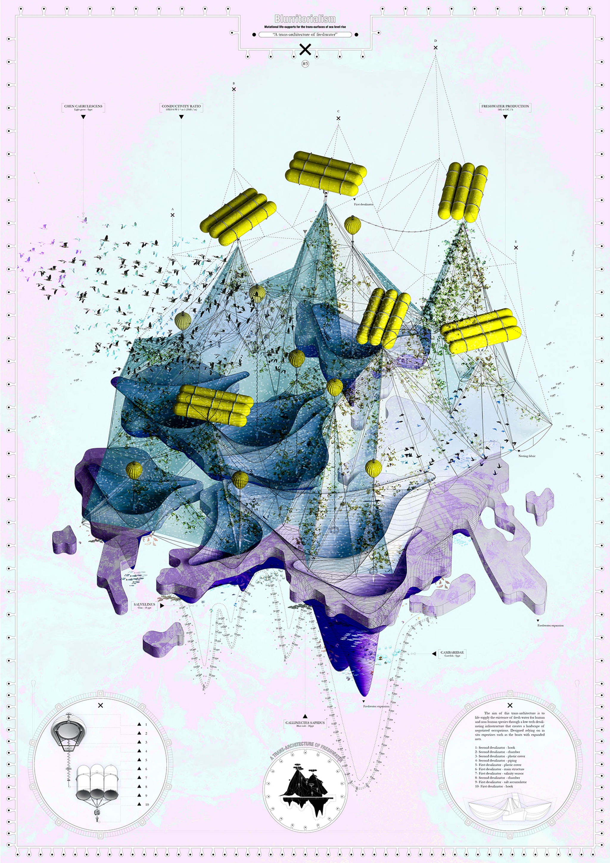 Universe Saltwater Collage - Columbia GSAPP