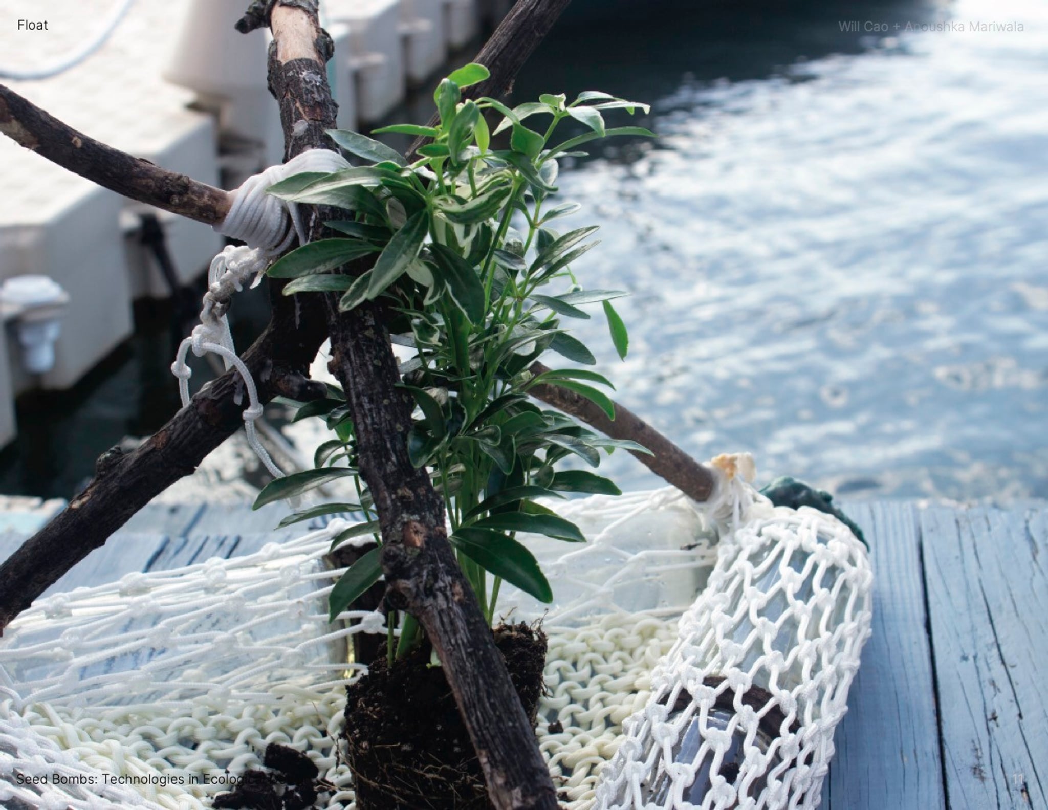 Float - Columbia GSAPP