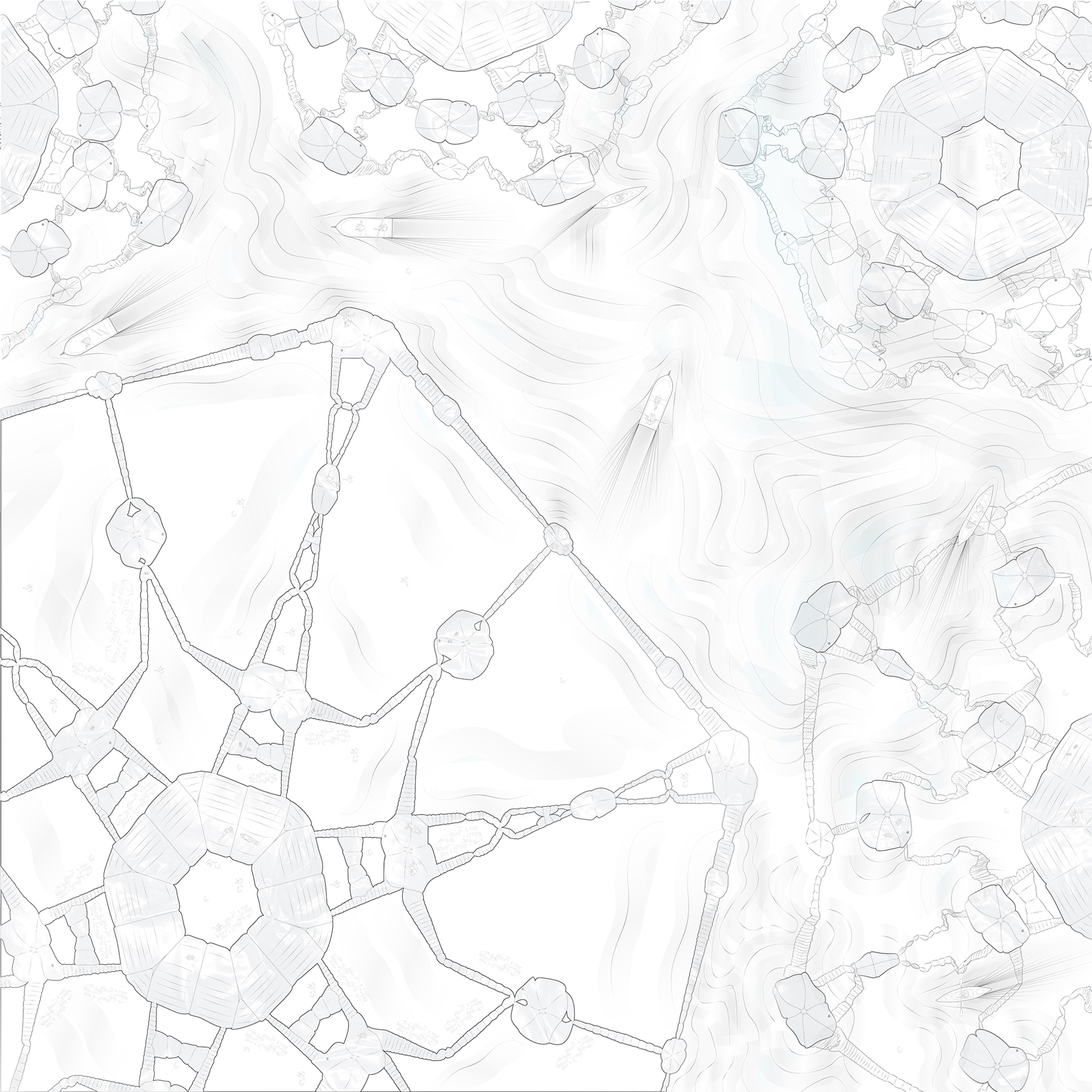 Saline Network - Columbia GSAPP