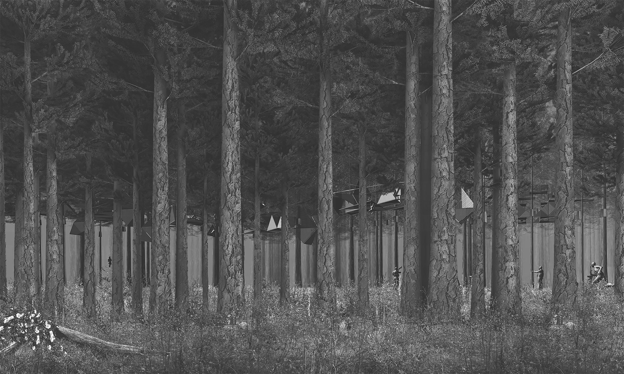 Stop Cop City: Infrastructures for Occupying the Forest Canopy ...